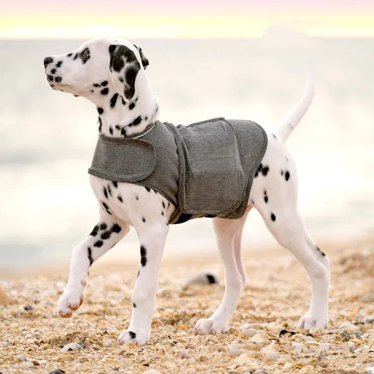 Pet Clothes Dog Anxiety Jacket Warm Vest – Jessiz Boutique